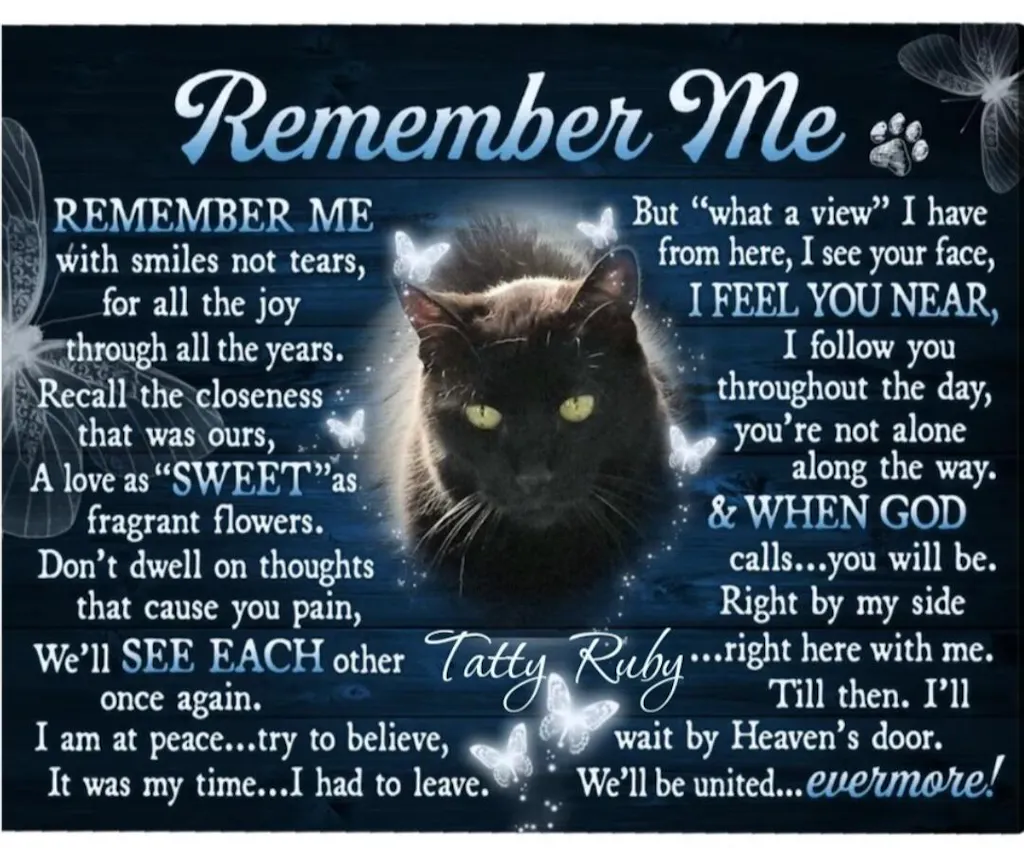 Memorial Pet Wall Art Canvas Remember Me Loss Of Cat Gifts, Pet ...