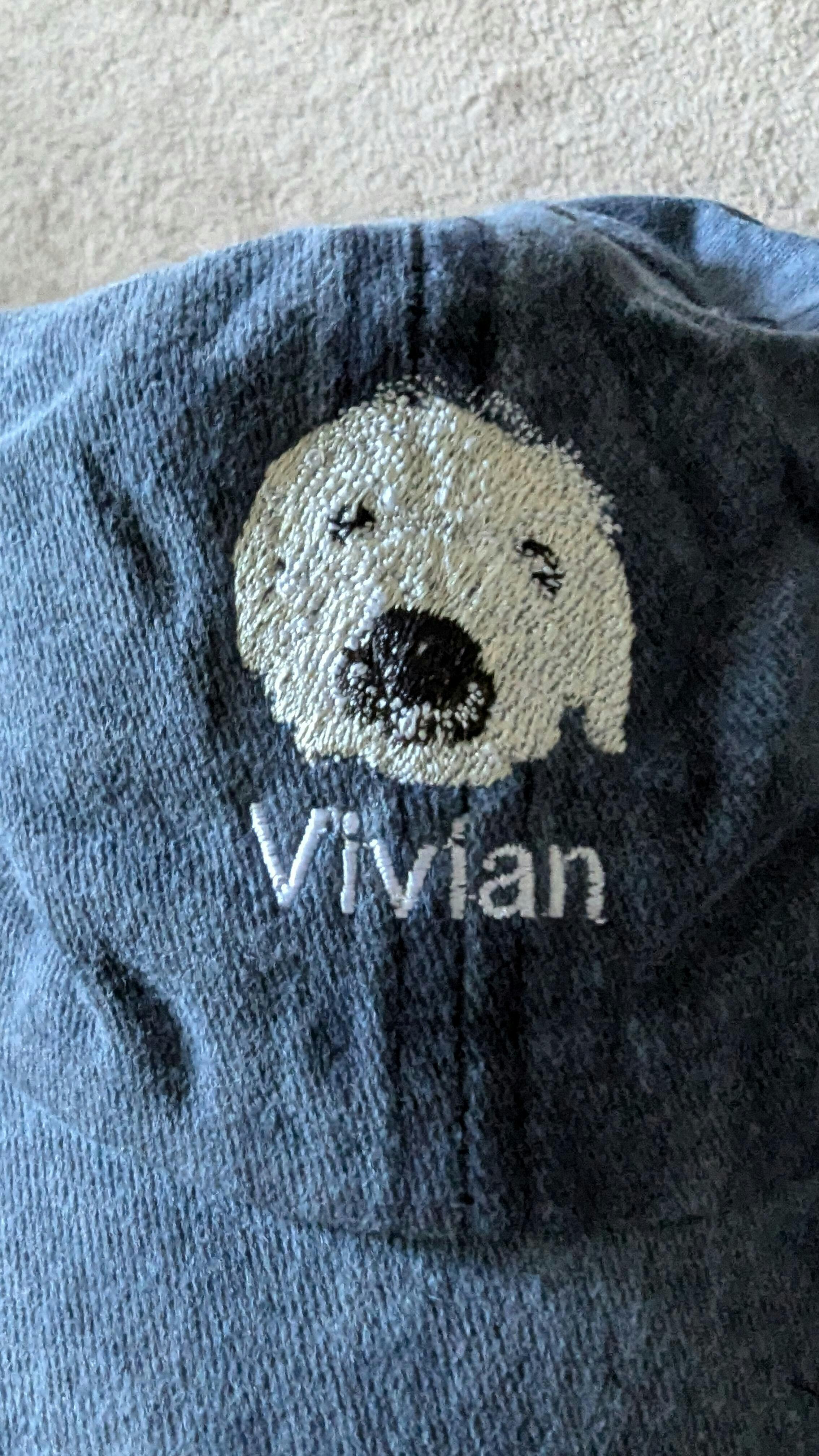 Custom Embroidered Dog Hat, Personalized Baseball Cap Using Your Dog P ...