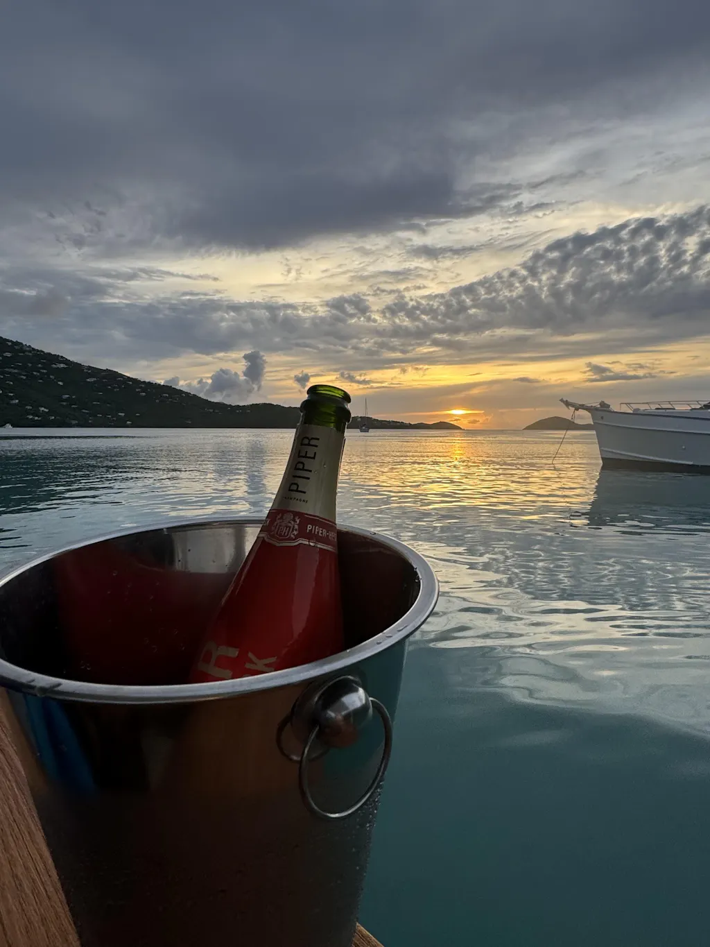 Order Bev Bucket - A Champagne & Beverage Bucket for Your Boat – BEV BUCKET