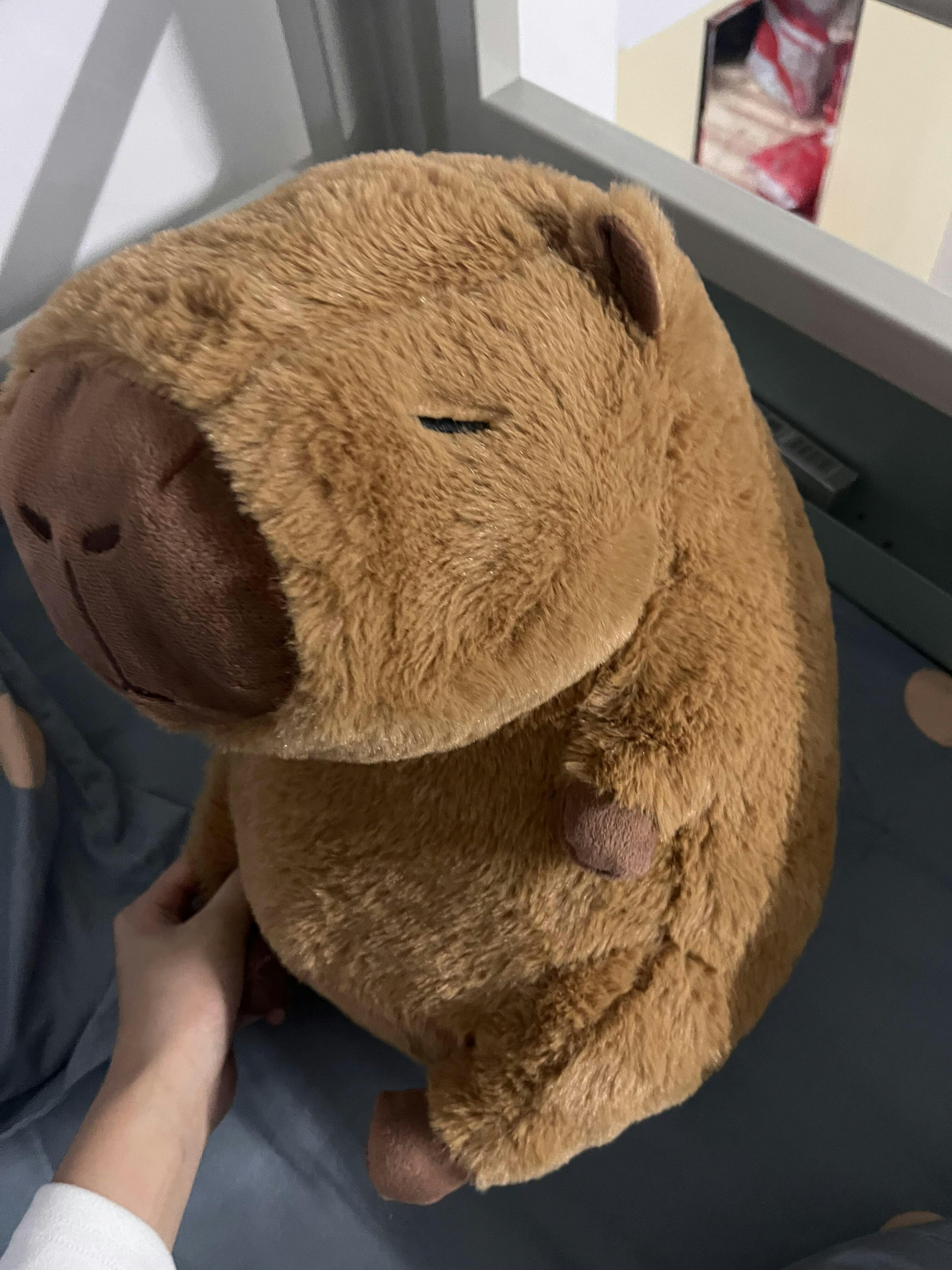 Capybara Plush With Avocado Backpack – Big Squishies