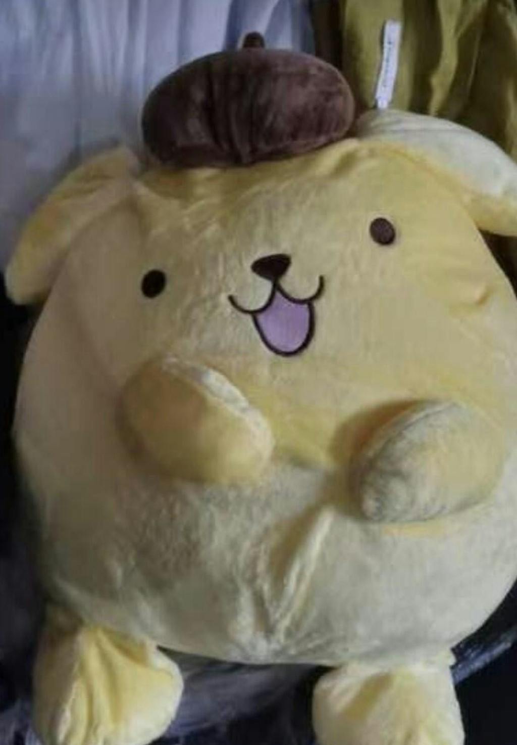 Cute Pompompurin Plush Toy – Big Squishies