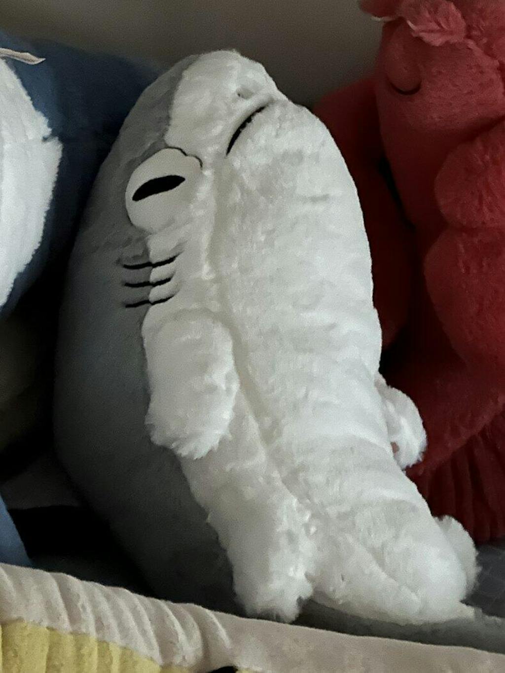 Funky Shark Plush Toy – Big Squishies