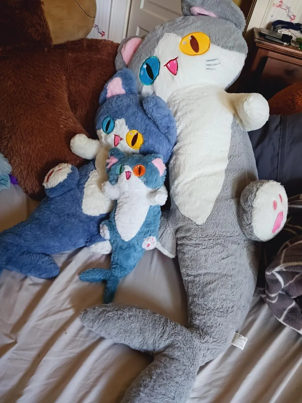 Cat Shark Plush Hybrid Plushie – Big Squishies