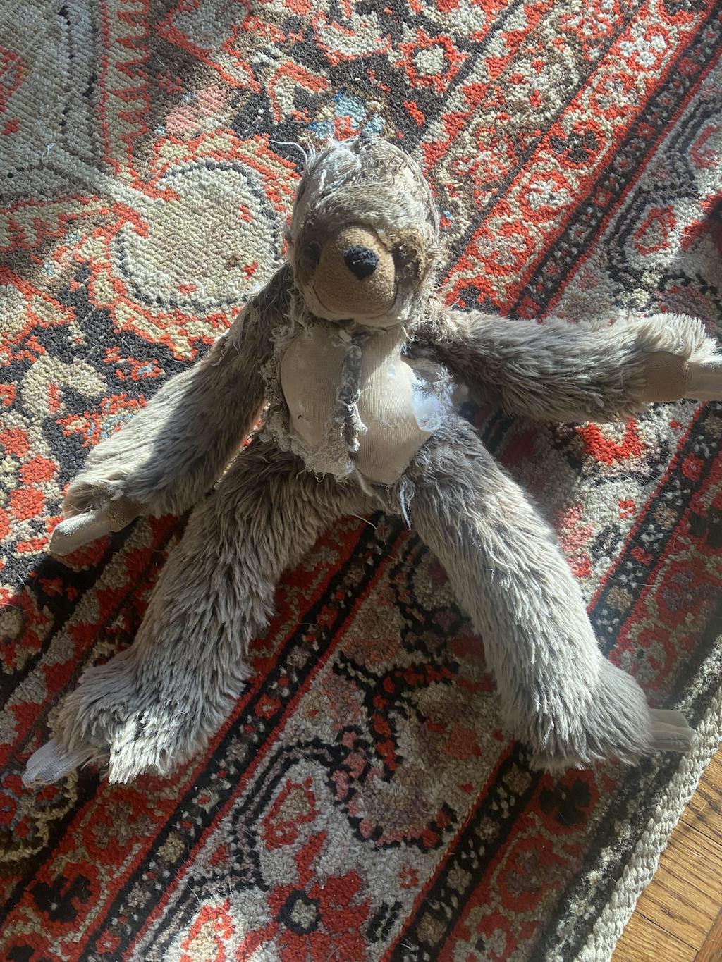 Fluff & Tuff Tico Sloth: Durable Plush Dog Toy – BigDog Boutique