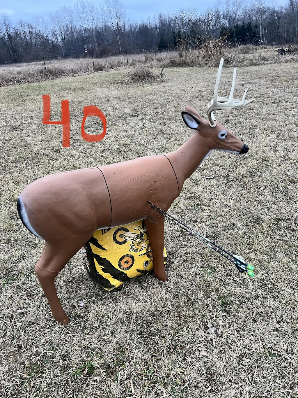 Real Wild 3D Medium Series Sneak Deer Archery Target with EZ Pull Foam ...