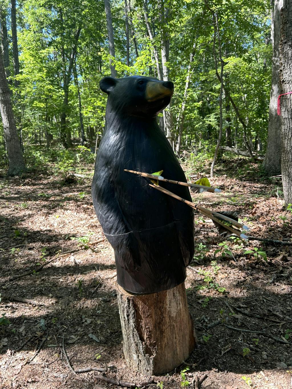 Real Wild 3D Den Black Bear Archery Target with EZ Pull Foam – BIGshot ...