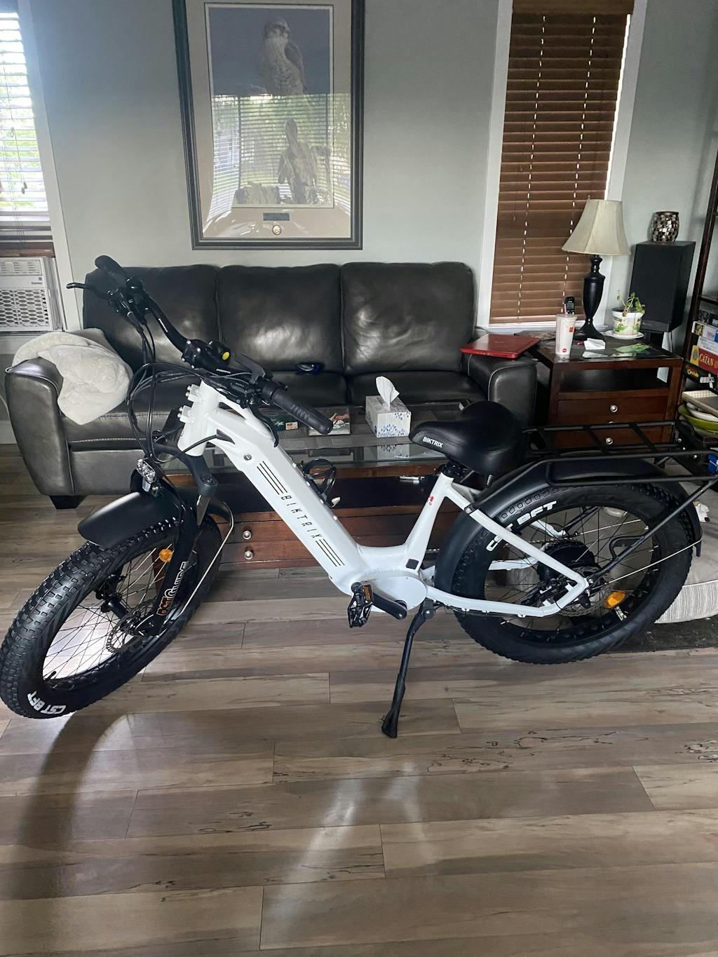 Juggernaut Hub Duo Step-Thru eBike