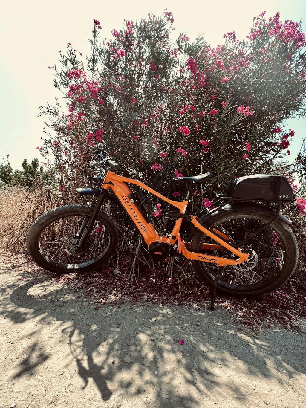 Full Suspension Rack and Fender Set