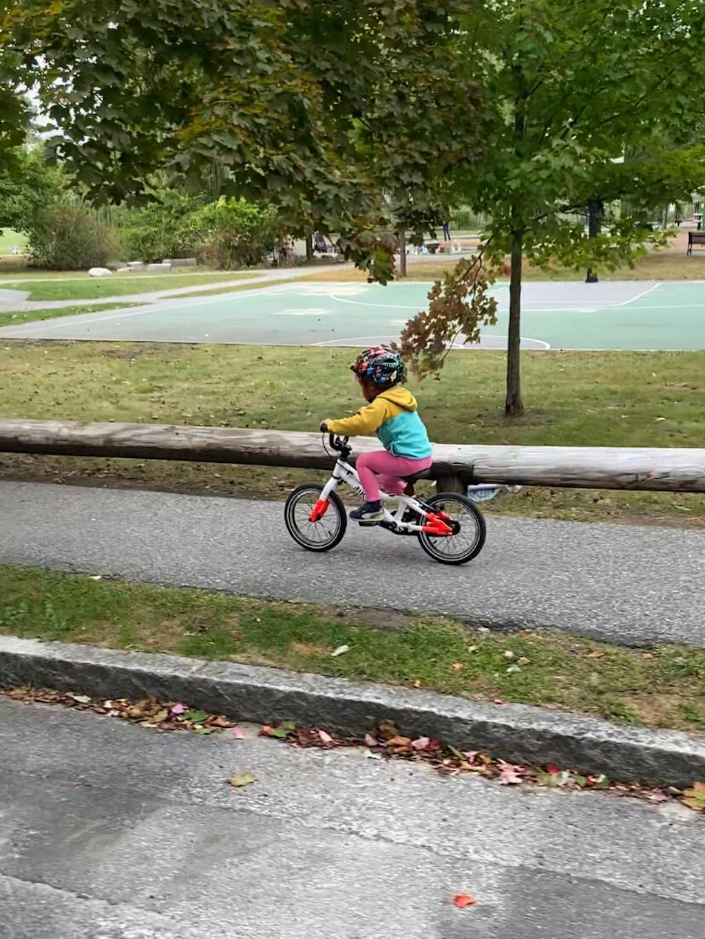 BIKY 14 - Toddler Bike for Young Riders | BIKY – Biky Bikes Corp.