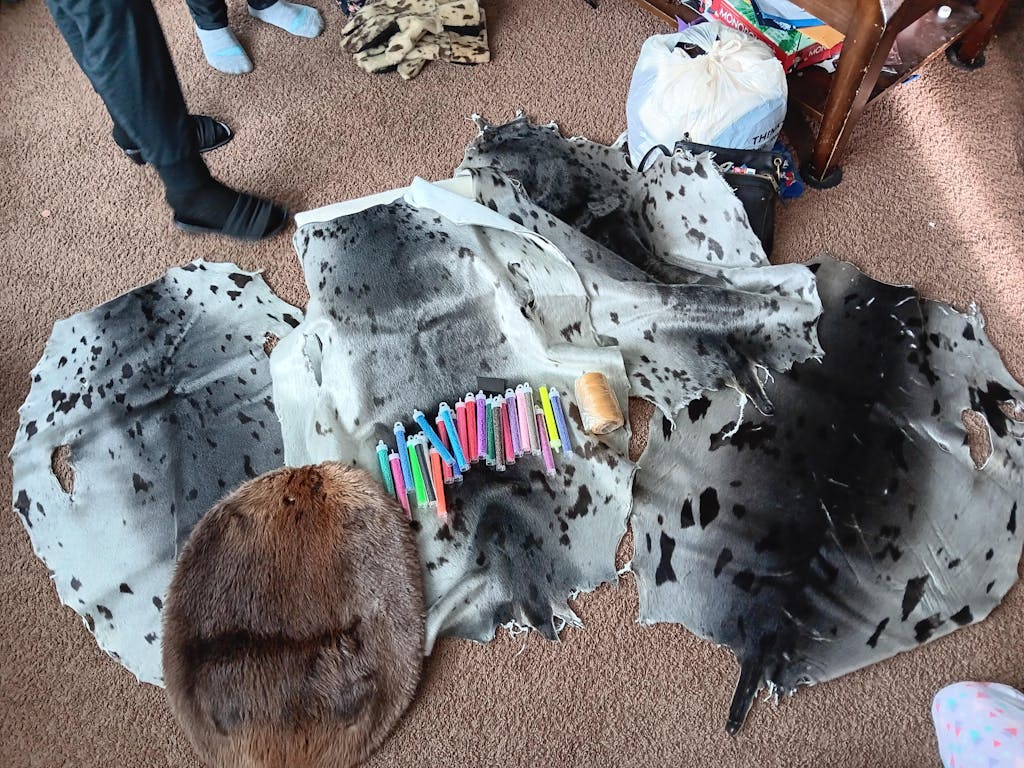 Beaver Fur Pelts – Bill Worb Furs Inc.