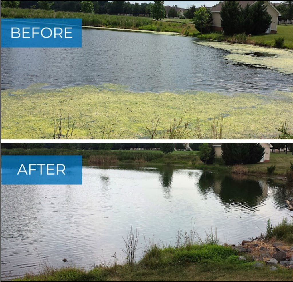 Farm Supplements & Agriculture Supplies | Biopro Solution