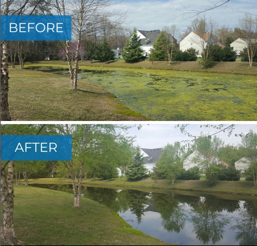 Buy Animal Feed Supplement & Biofertilizer | Biopro Solution