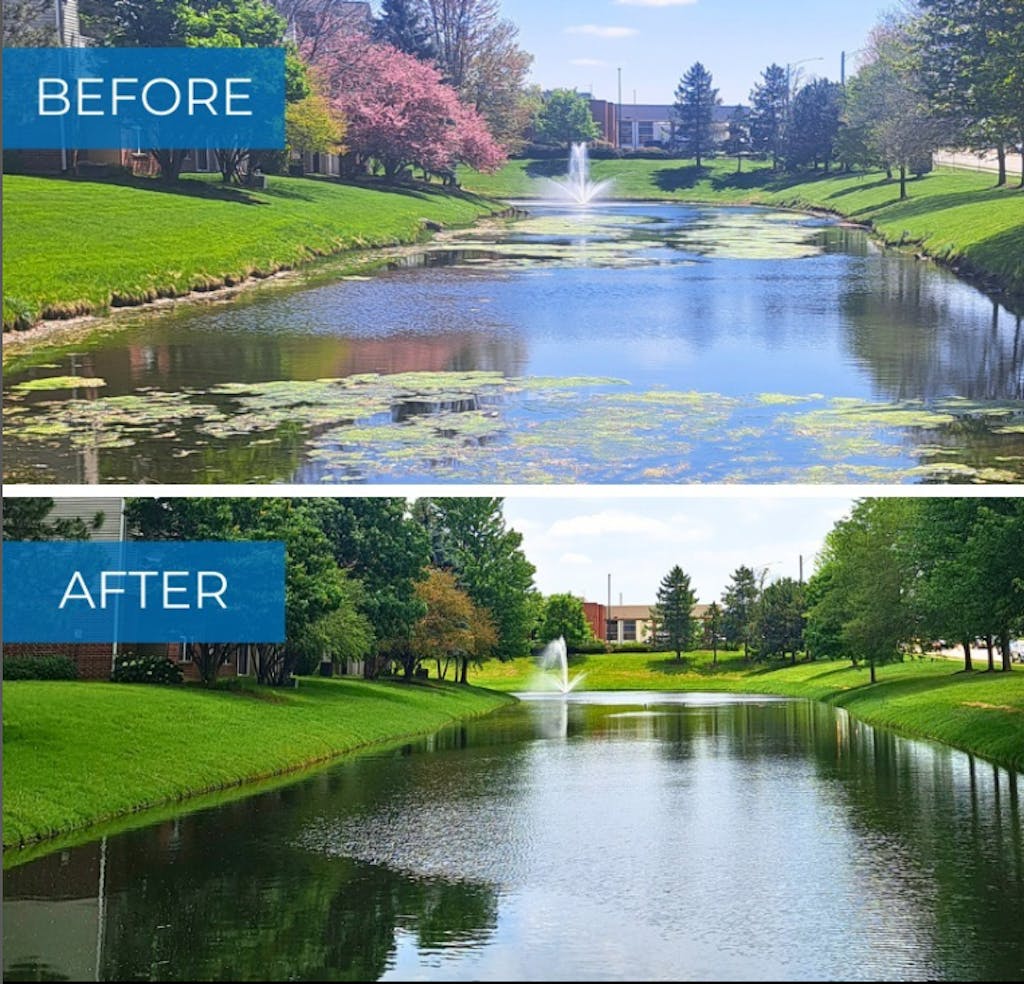 Buy Animal Feed Supplement & Biofertilizer | Biopro Solution