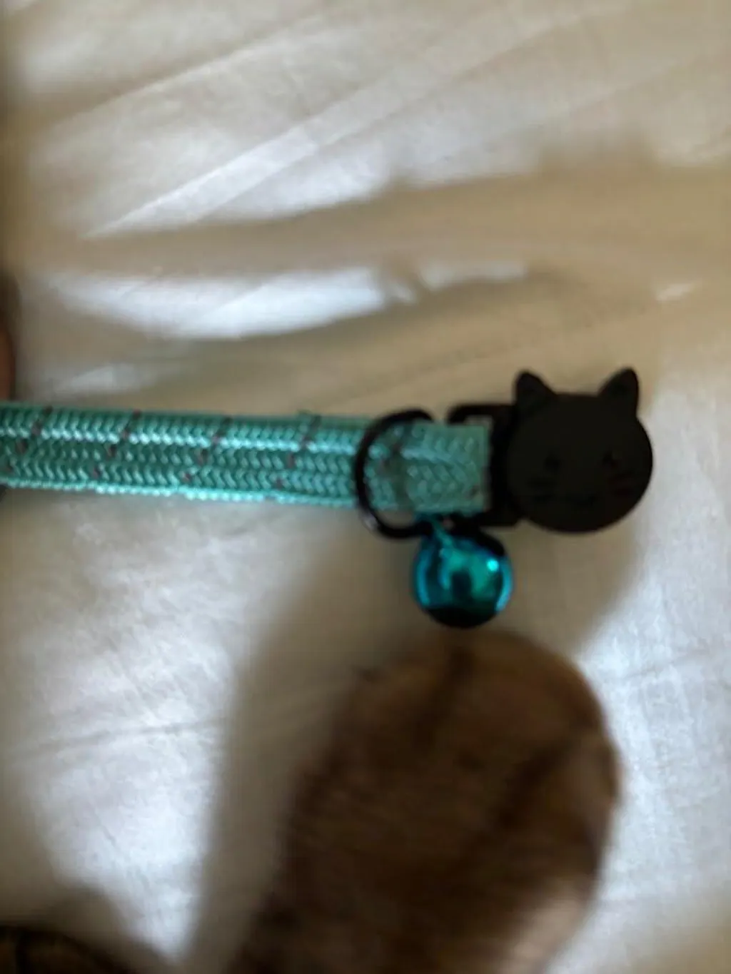 Products | Birdsbesafe