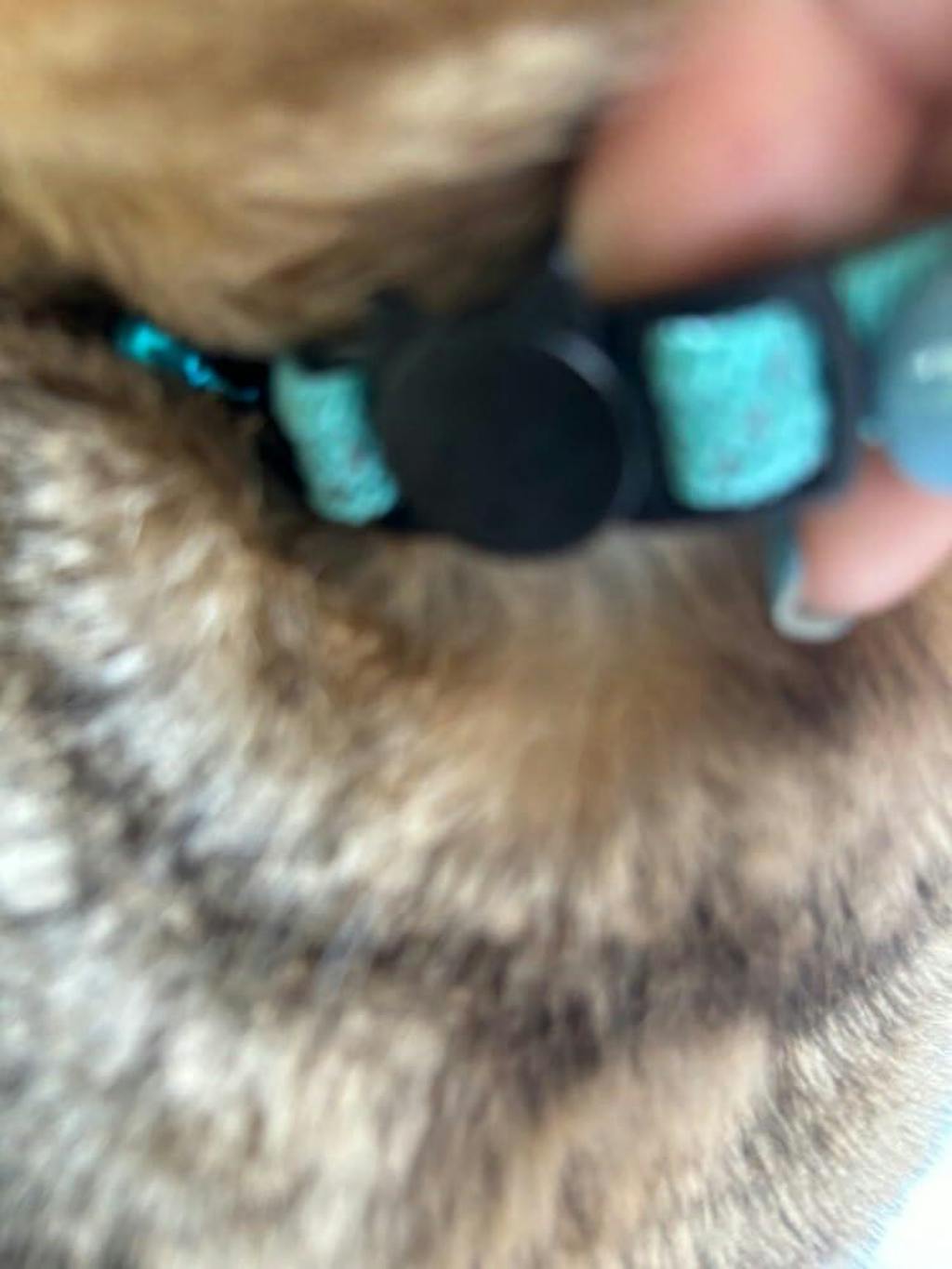 Products | Birdsbesafe