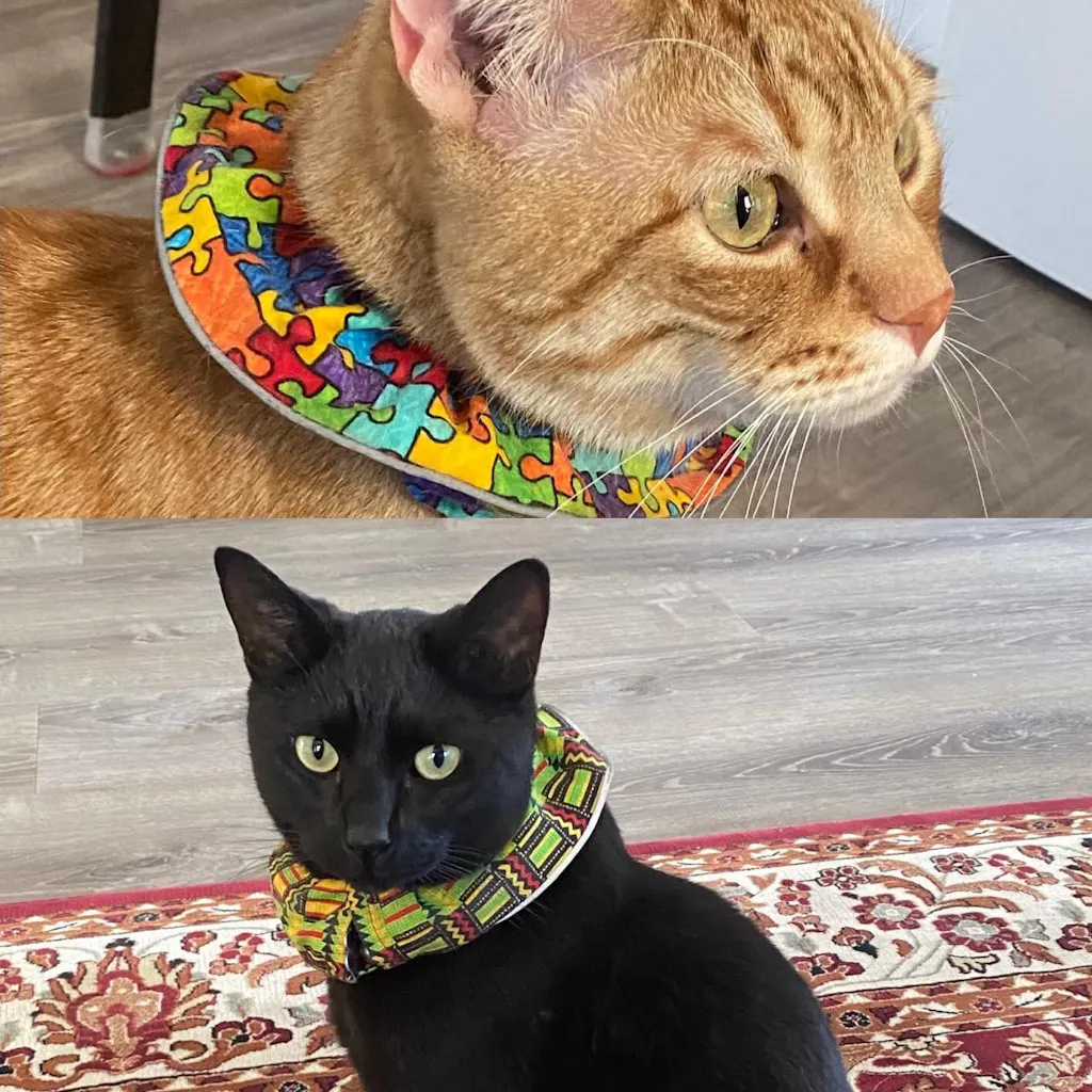 Birdsbesafe® Cat Collar For Birds | We Help Birds Be Safe From Cats ...