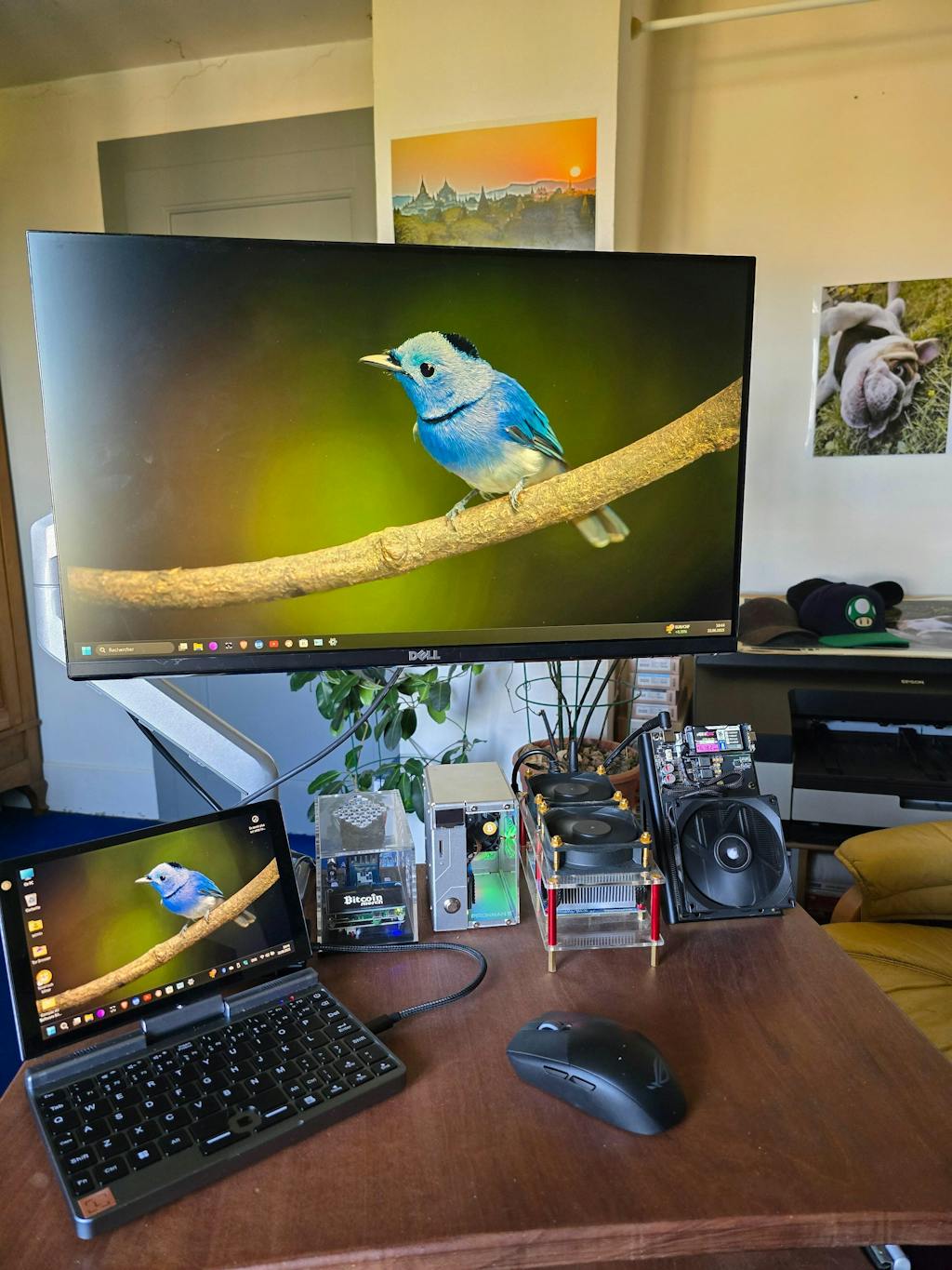 Compac F USB Bitcoin Miner Setup Guide