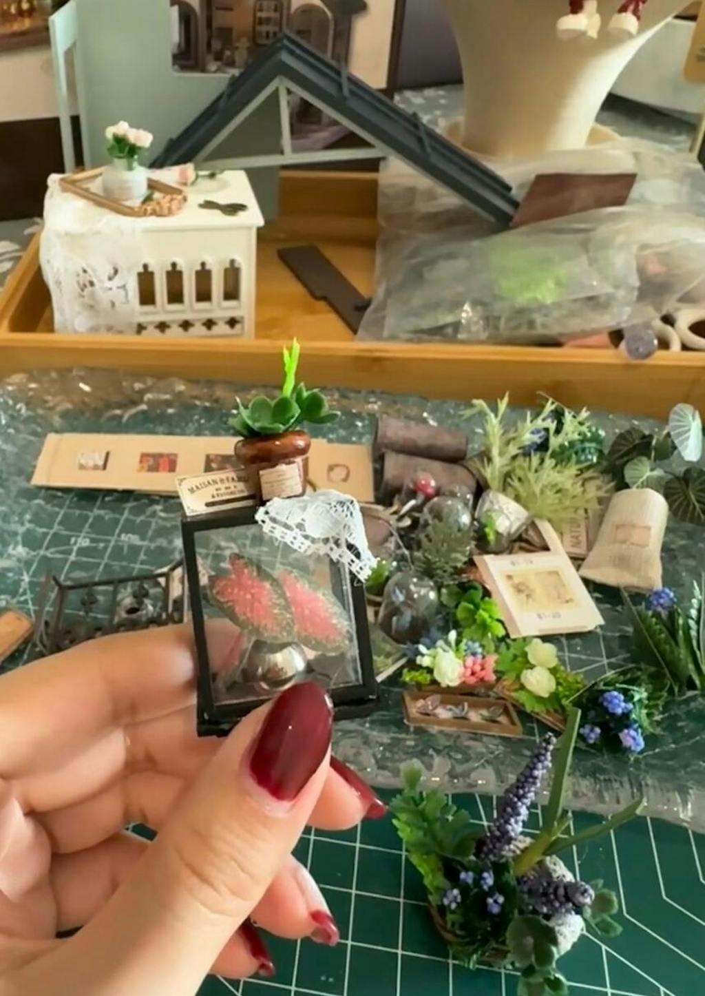 DIY Mini House - Plant Nursery – BitsyHomes