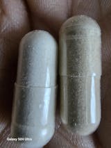 The Trinity: Natures Multivitamin – Black Elder