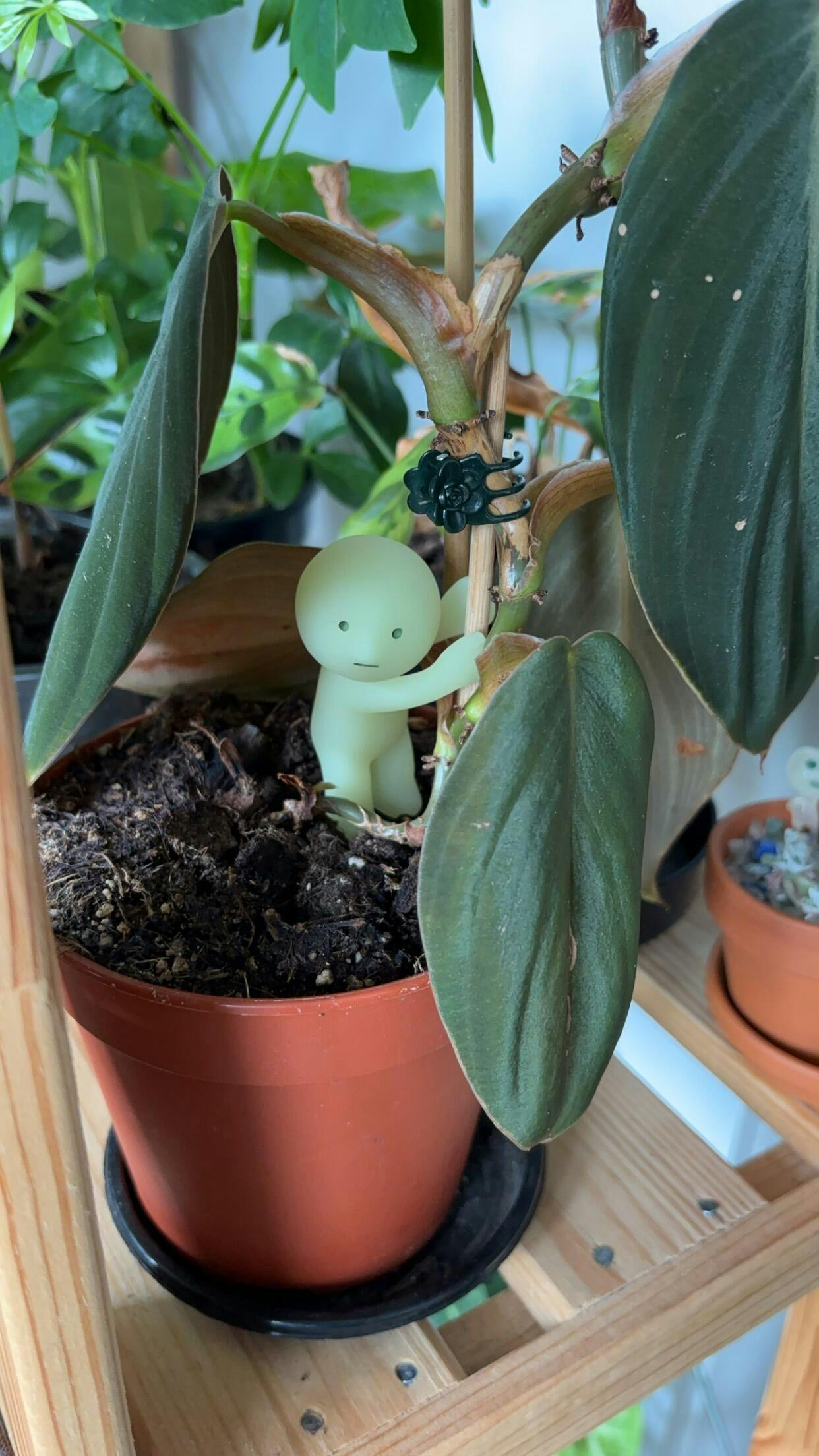 Smiski Living Series - Blind Box Surprise | Blink Box