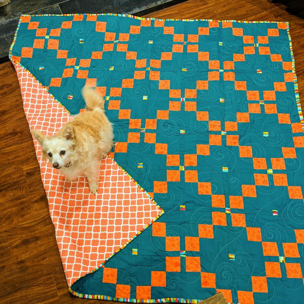 Harken Quilt Pattern – Blooming Poppies Modern Quilts