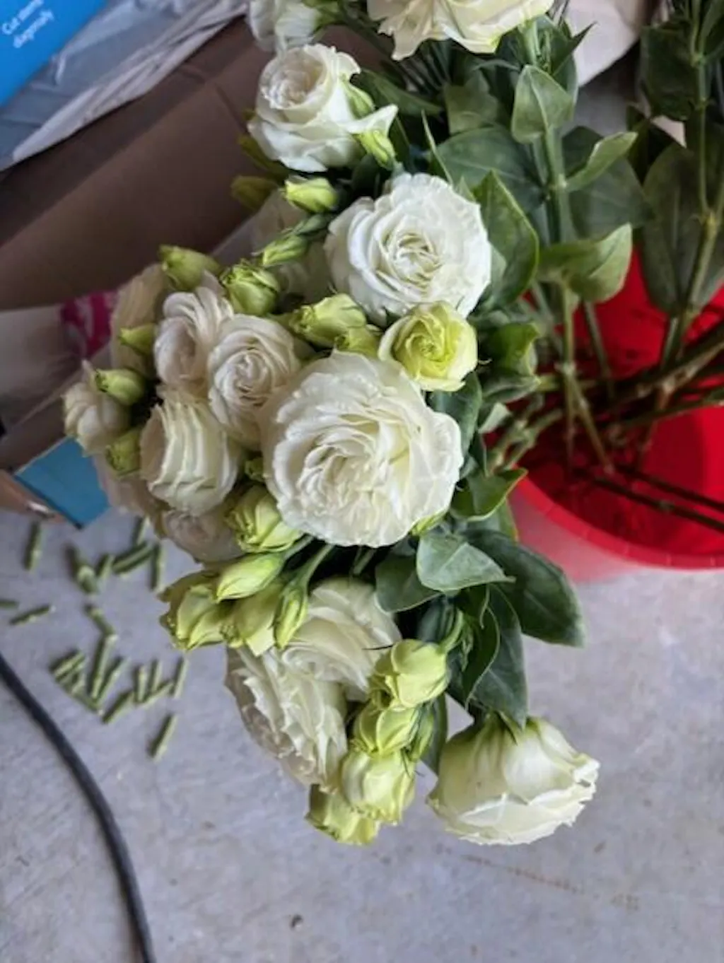 White Lisianthus – Bloomingmore