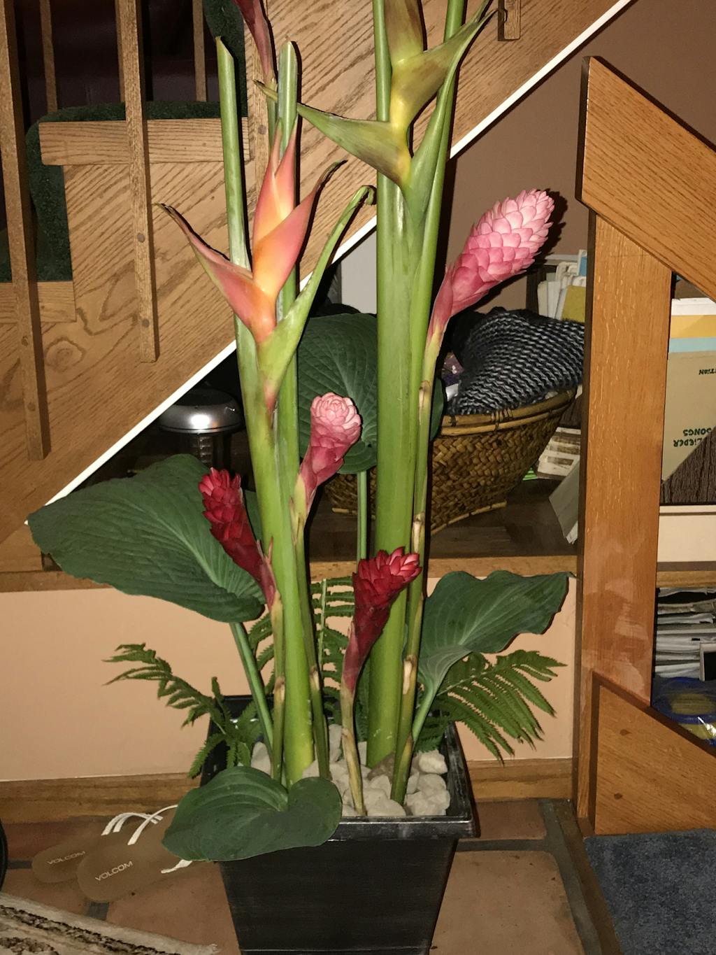 Aloha Wholesale Box 80 Stems ( 20% disocunt) – Blooms of Hawaii
