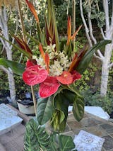 Ailani Wholesale Box 170 Stems (20% DISCOUNT)