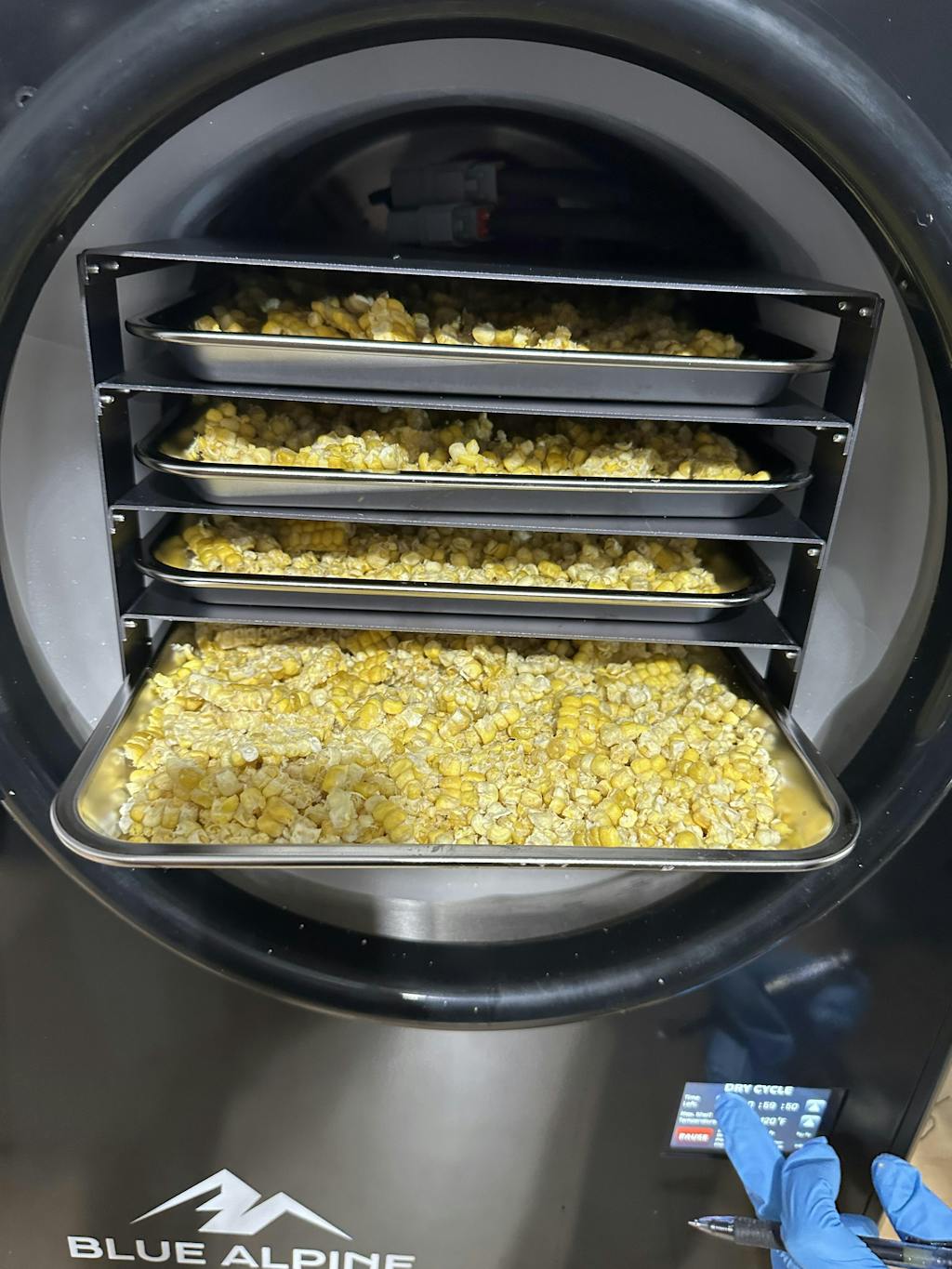 Medium Freeze Dryer – Blue Alpine