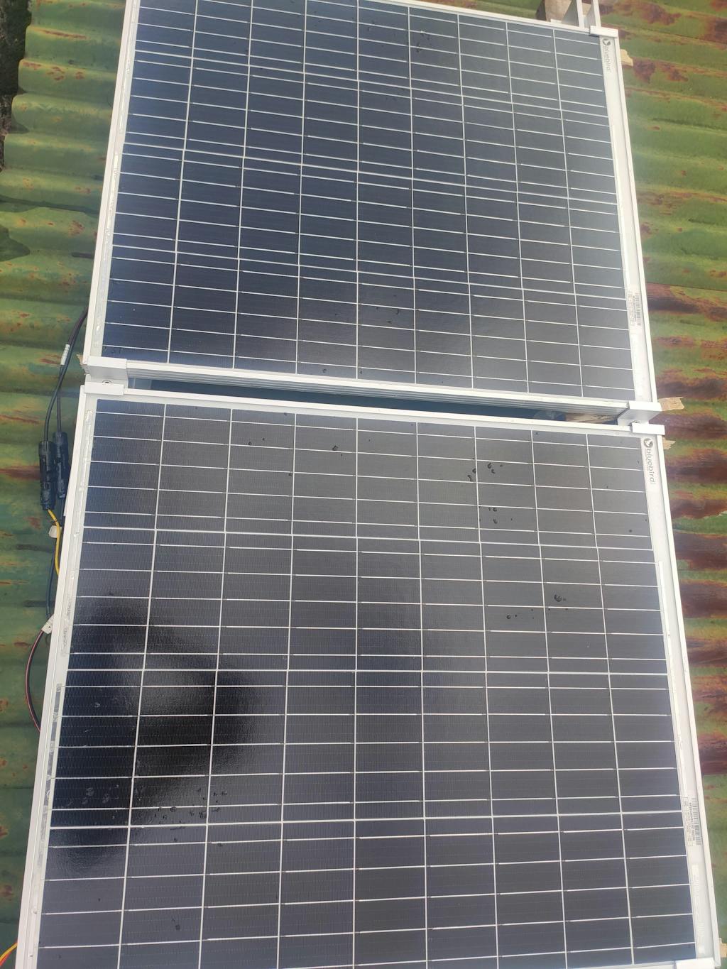 Bluebird 100 Watt 12 Volt Mono PERC Solar Panel at Best Prices ...