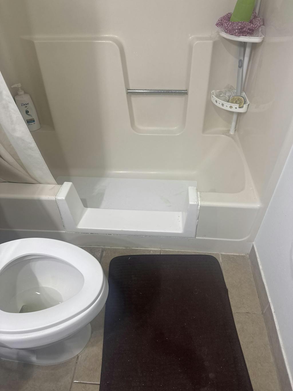 Bathtub Walk Thru Accessibility Insert For Easy Walk Through Or Step I ...