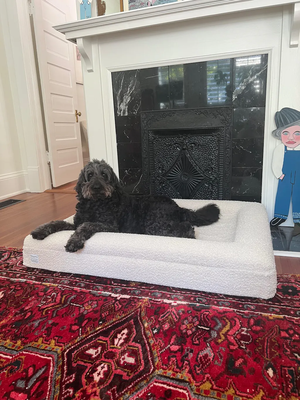 Large Luxury Bouclé Orthopedic Bolster Dog Bed (Sand)
