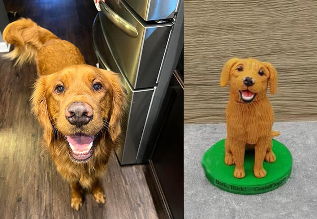 100% Fully Customized Your Dashboard Dog Bobble Head From Photo - Pets ...