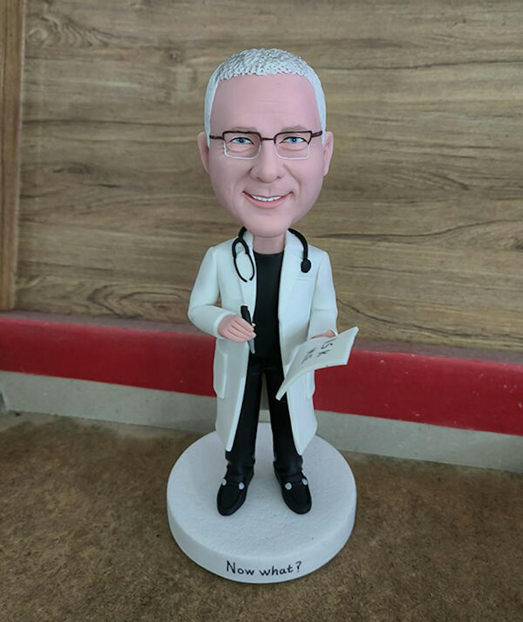 Personalized Custom Doctor Bobblehead with Stethoscope From Photos ...