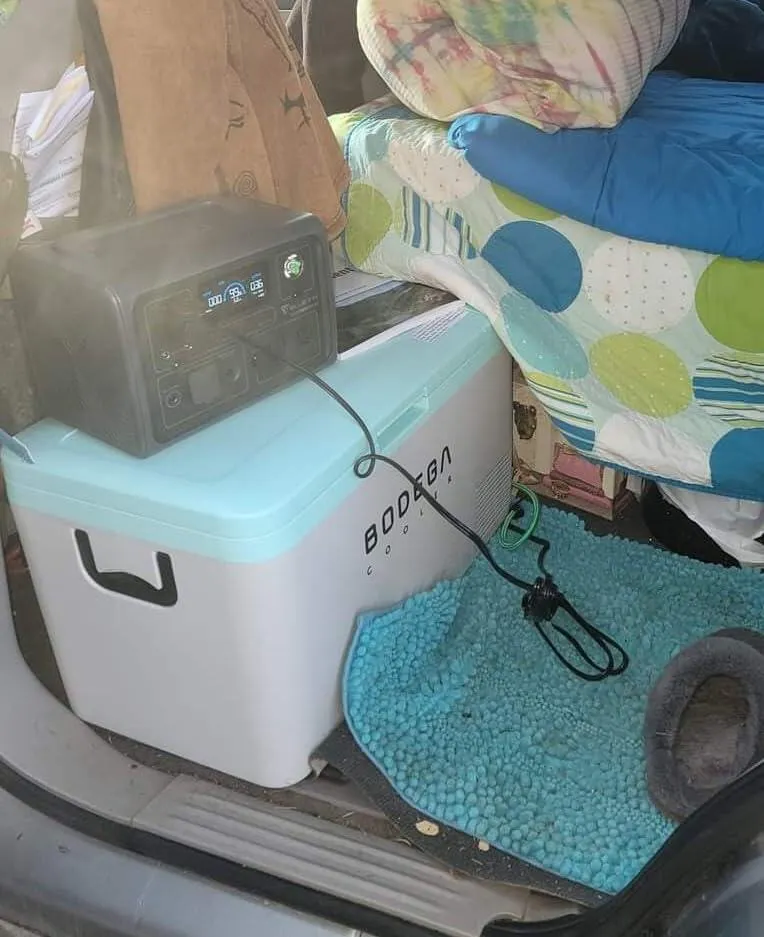 BODEGAcooler 12V Portable Car Fridge/Freezer 27Qt/25