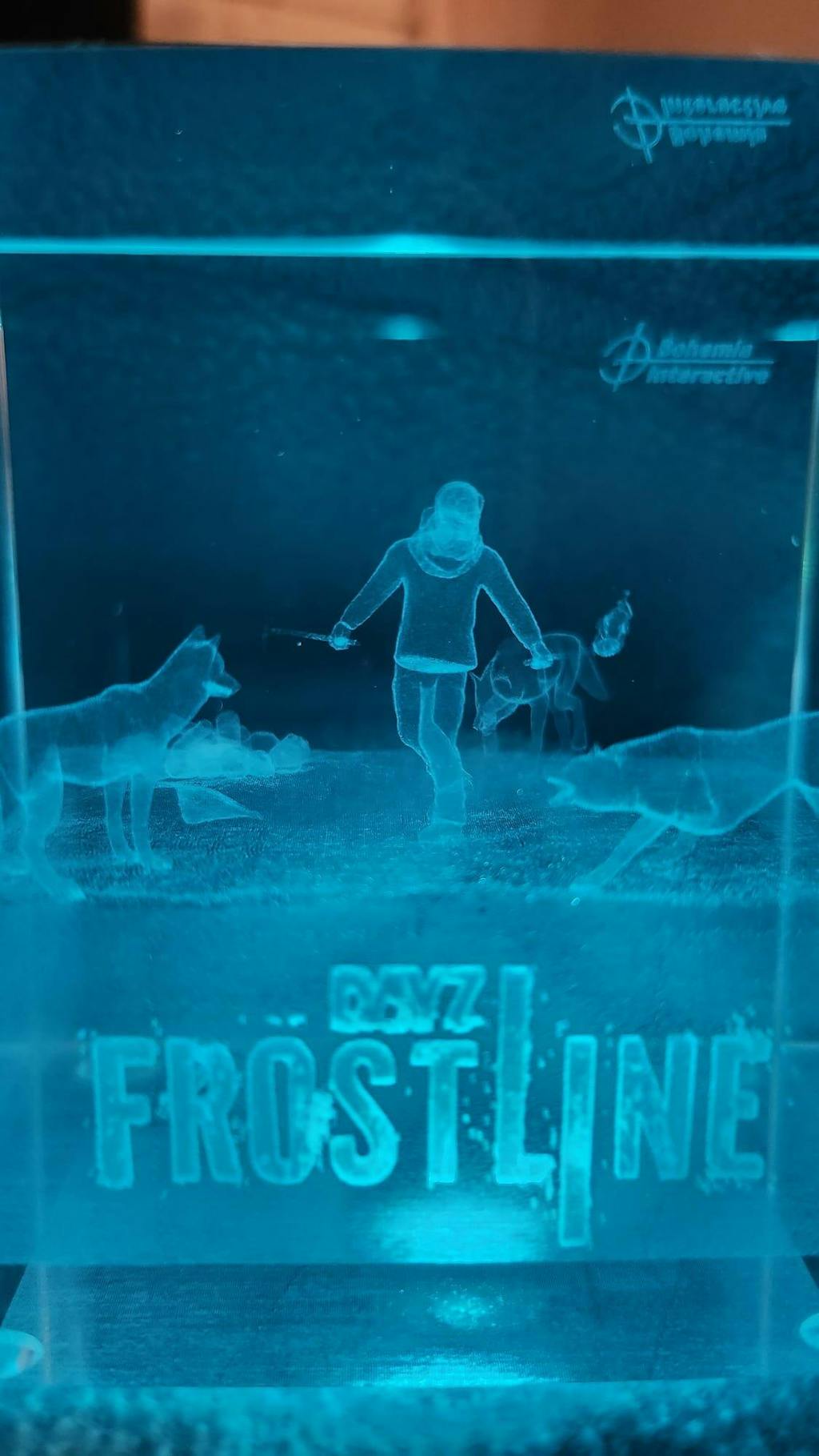 DAYZ FROSTLINE COLLECTORS EDITION – BOHEMIA INTERACTIVE