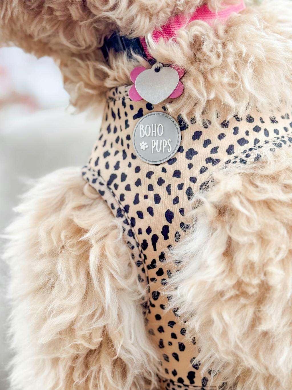 Wild Thing Harness – Boho Pups