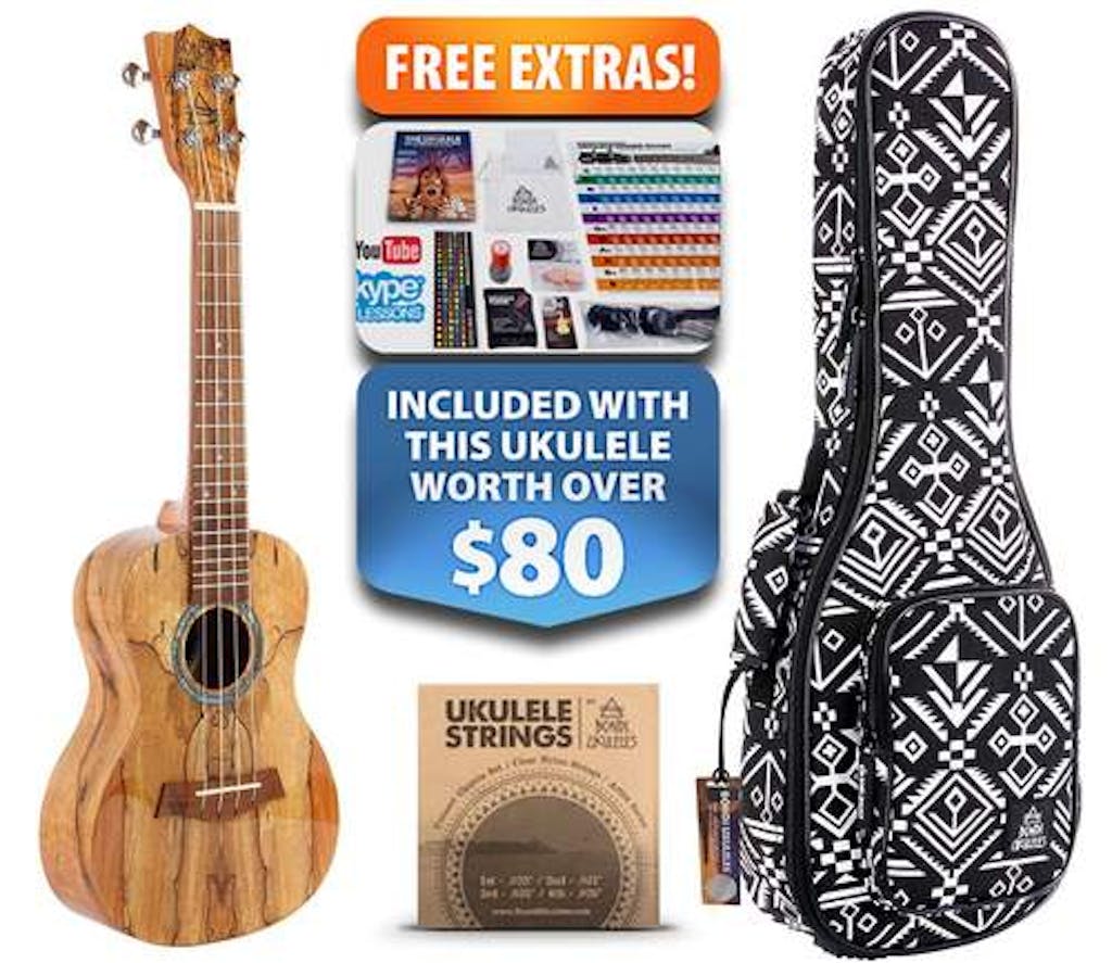Spalted Maple Concert Ukulele Bundle - Bondi Ukuleles