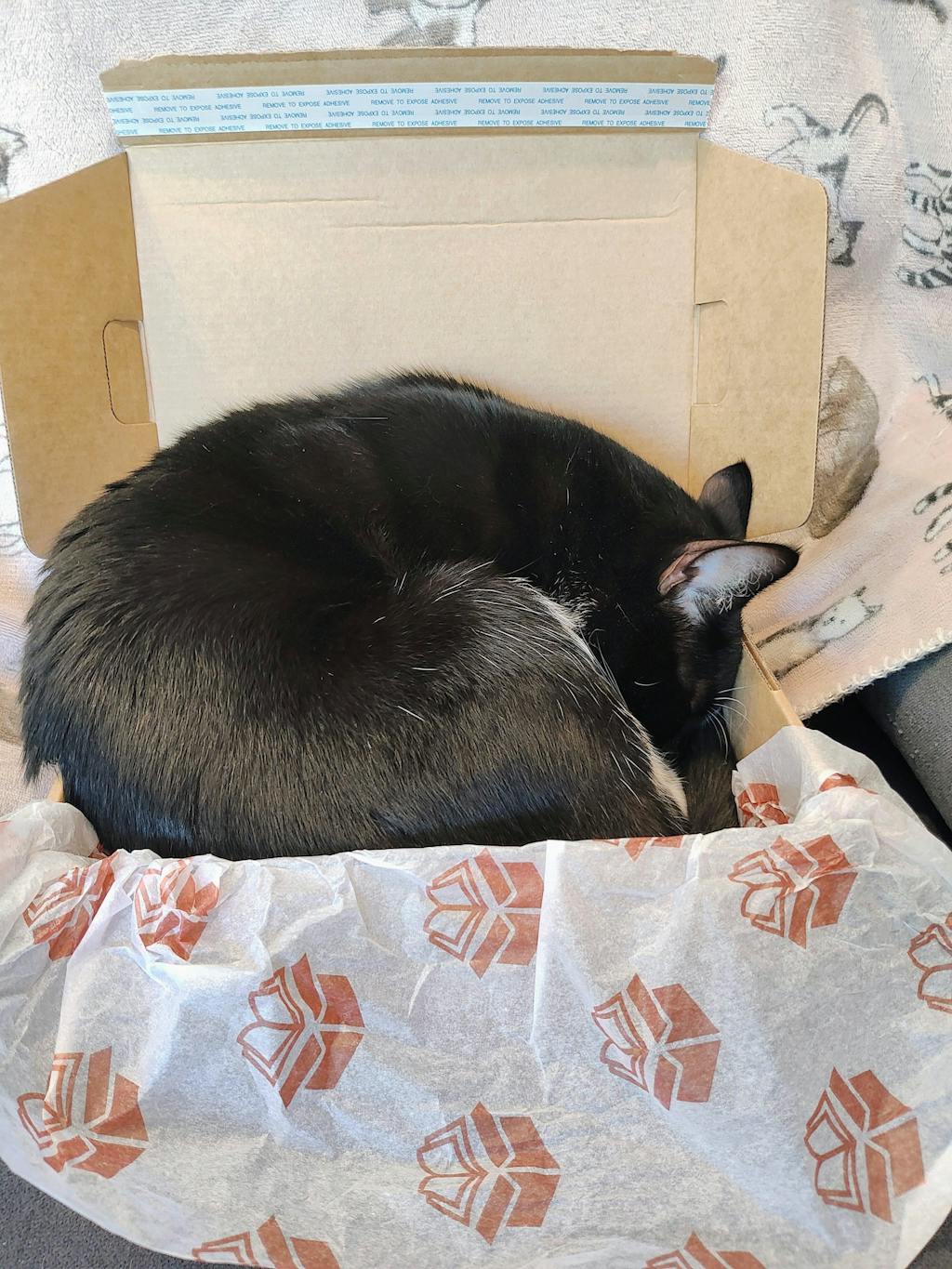 Book Subscription Box | Book Subscription | Book Box