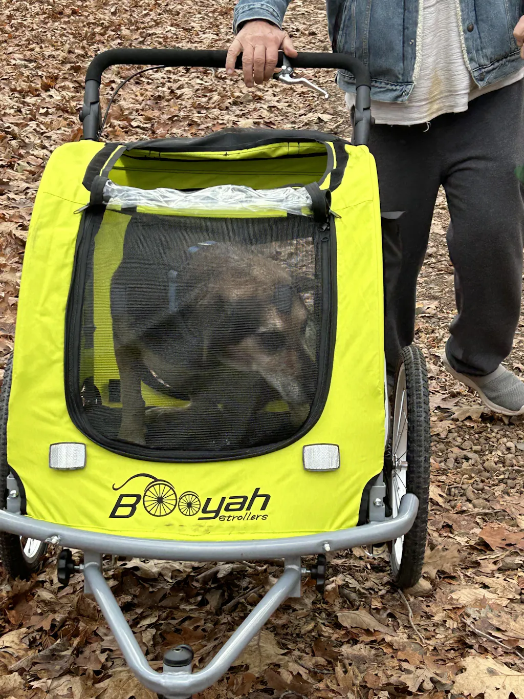 Booyah Large Pet Dog Stroller Carrier, Bike Trailer and Jogger with Su ...