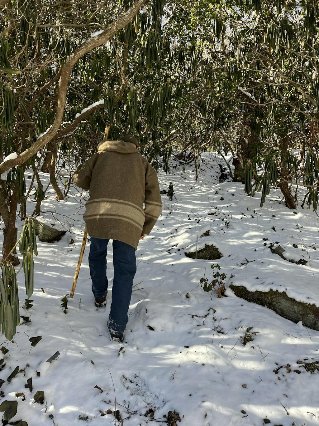 The Voyageur | Boreal Mountain Anoraks