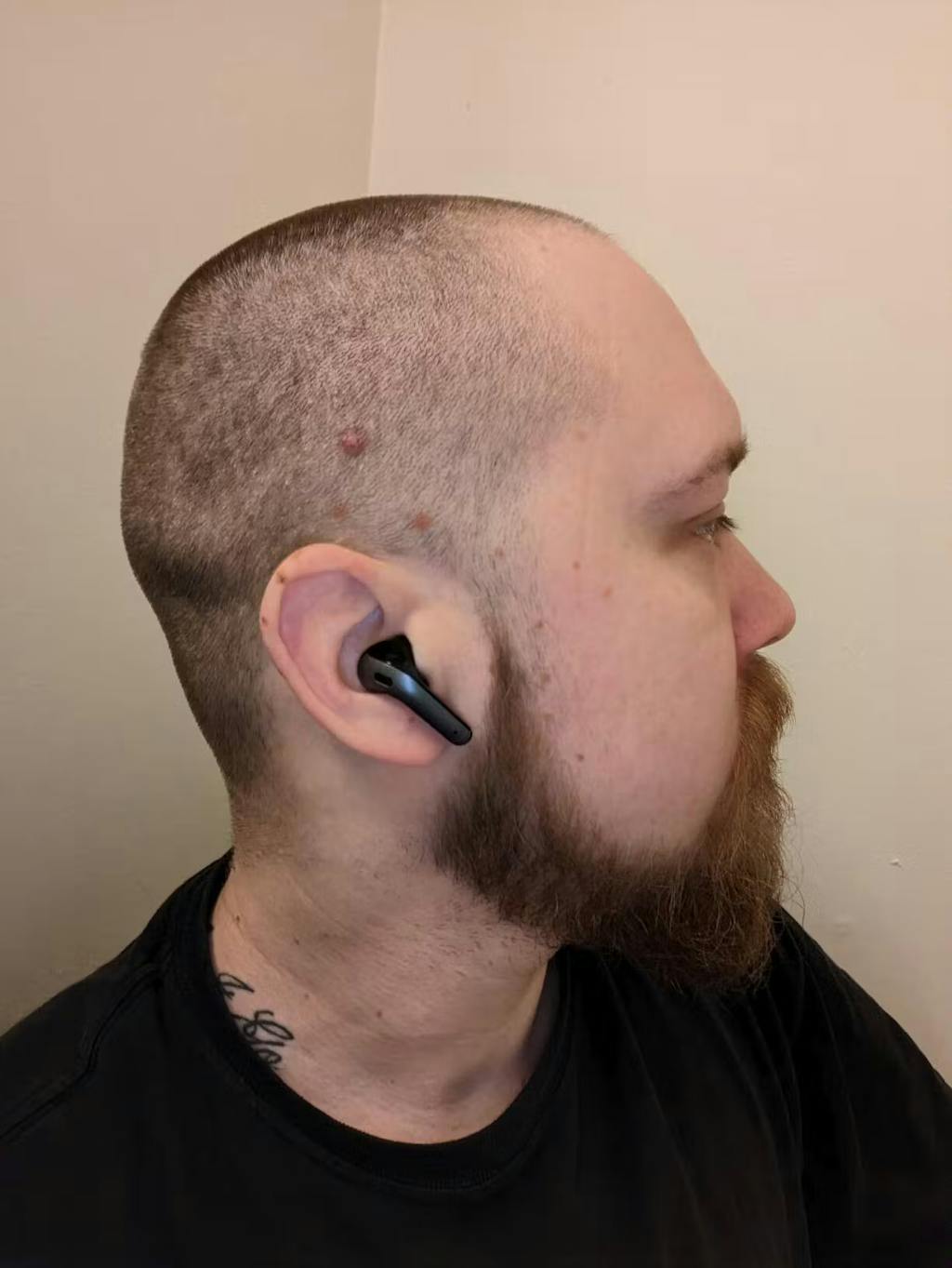 Boudio Vital Earbuds