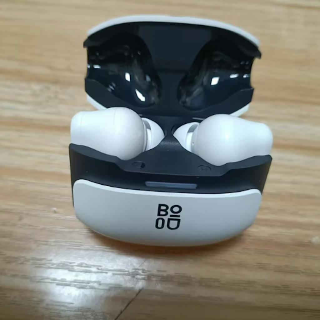 Boudio Max 2.0 Earbuds