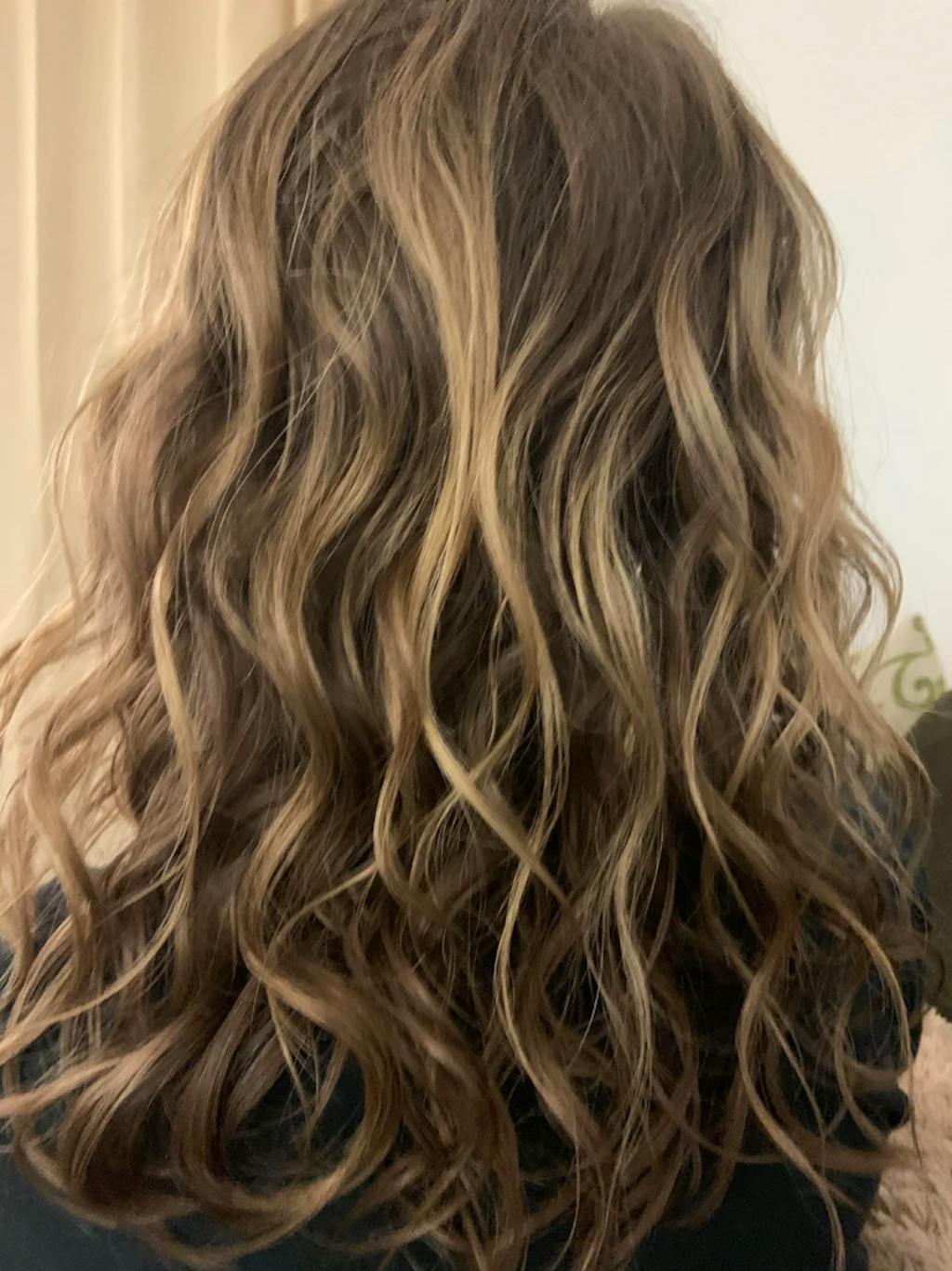 Complete Curl System - Bounce