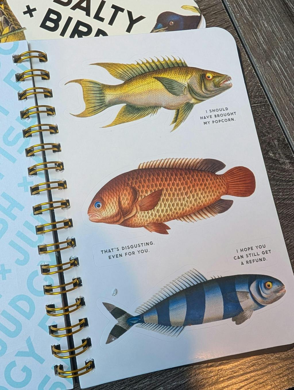 Judgy Fish Sticker Book – Brass Monkey