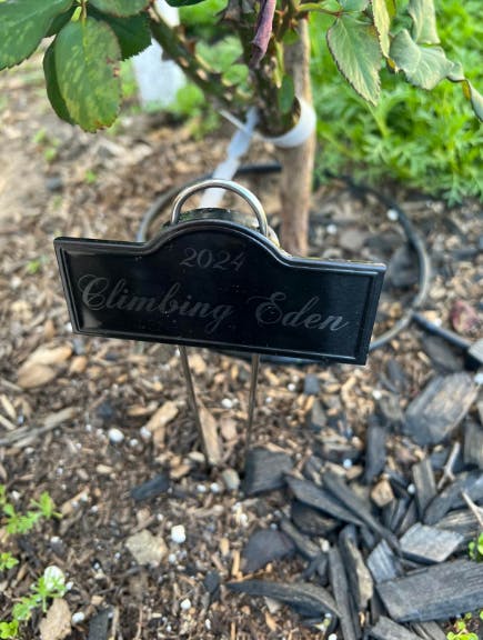 Metal Plant Labels for Garden Outdoor Stainless Steel Plant Markers 25 ...