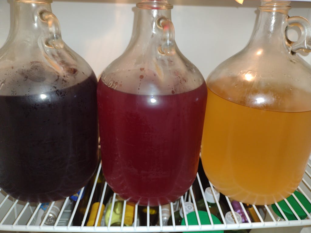 Brewsy Bag Subscription