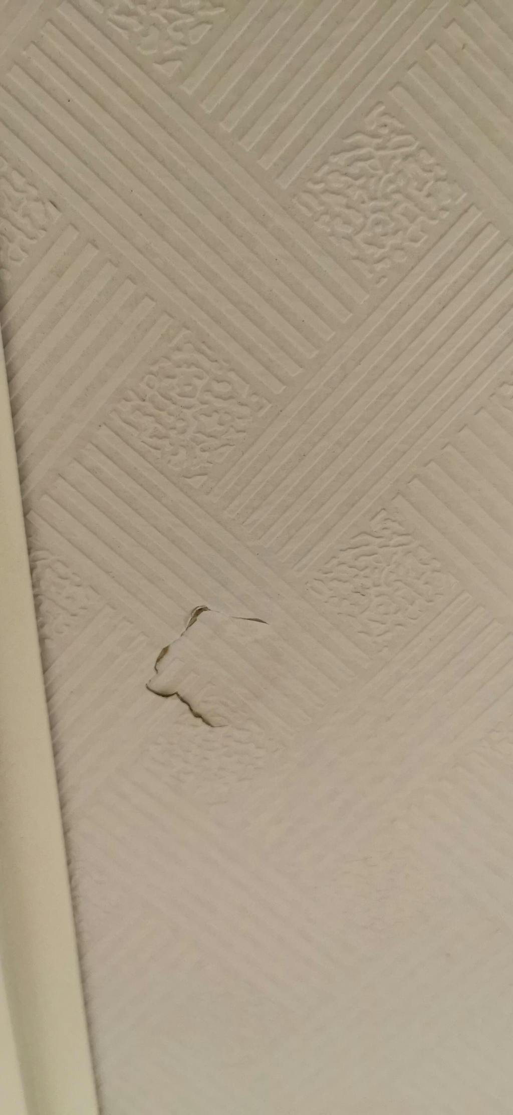 Bringer Infrarotheizung B-Ware