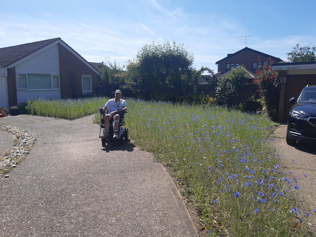 Bee Seed Packets | Native Flowers | British Wildflower Seeds | British ...
