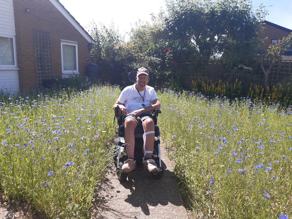 Bee Seed Packets | Native Flowers | British Wildflower Seeds | British ...